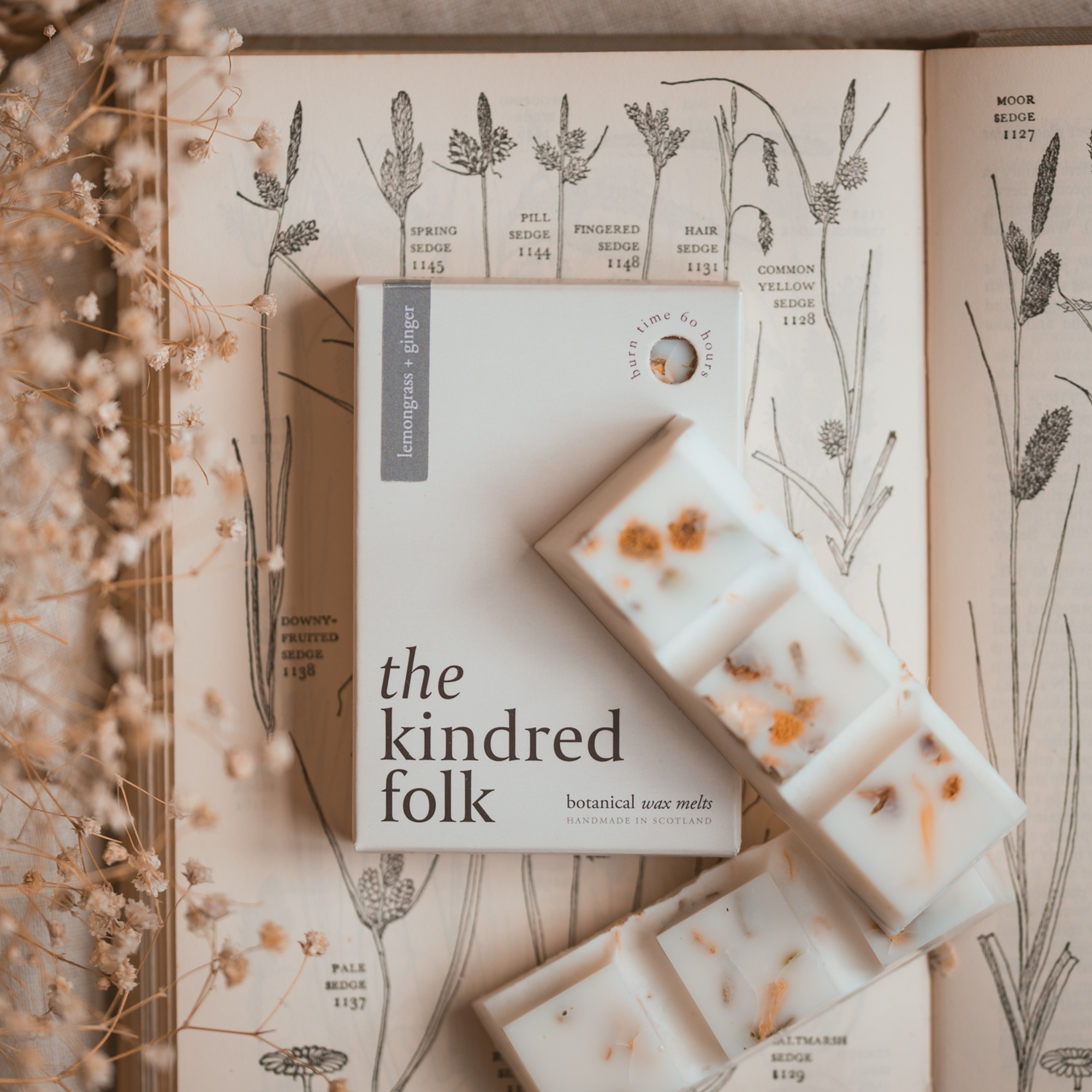 Lemongrass + Ginger Wax Melt – The Kindred Folk